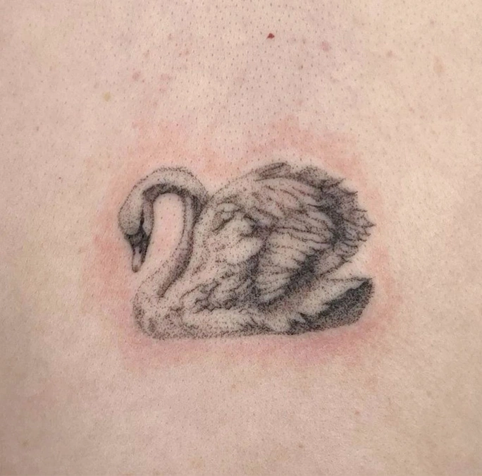 ink (@isab.medi) / Cosmos