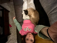 Ava Bryant (@happiava) / Cosmos