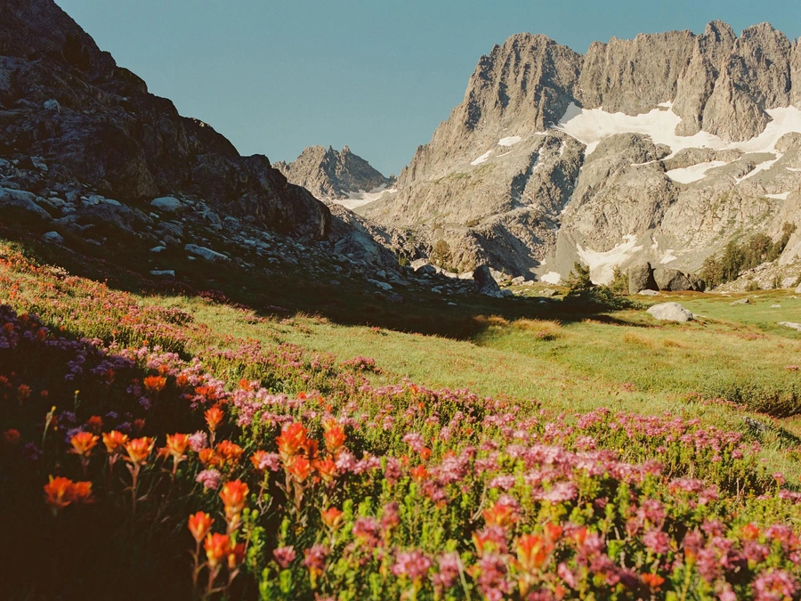 Nature (@alexander) / Cosmos