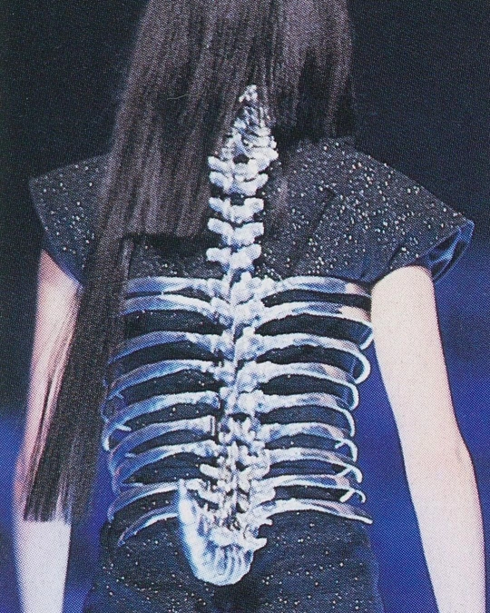 anatomy (@flicc) / Cosmos