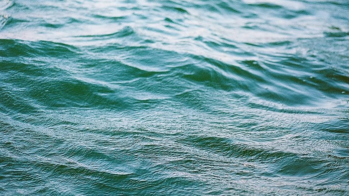 Ocean (@andy.film) / Cosmos
