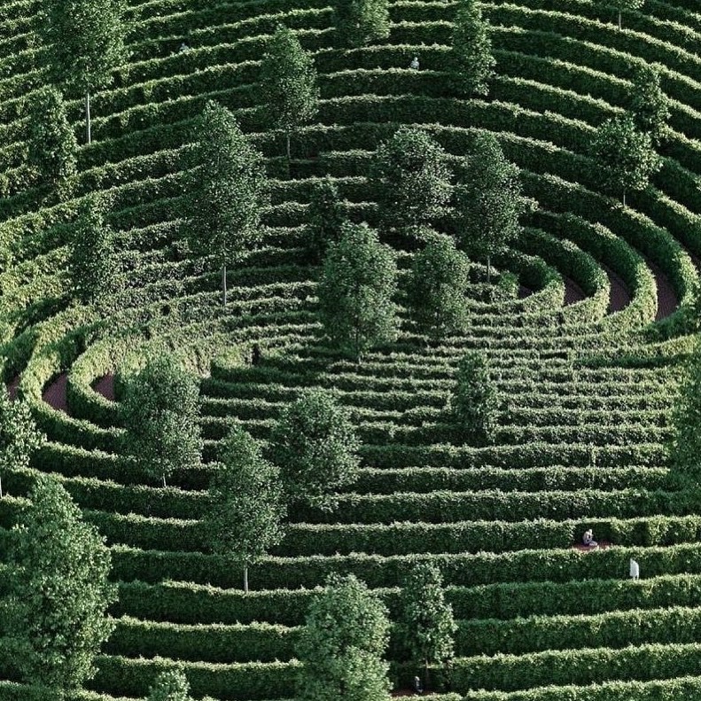 miracle aligner (@prettierbuddha) / Cosmos