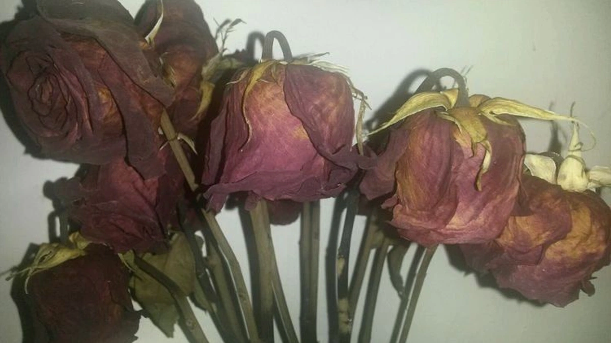 TD rotten flowers board (@skullcandy) / Cosmos