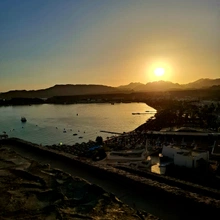 Engy hany (@engyhany) / Cosmos