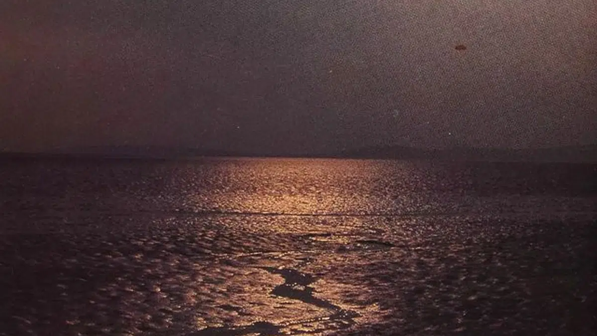 ocean (@sofiamwinkler) / Cosmos