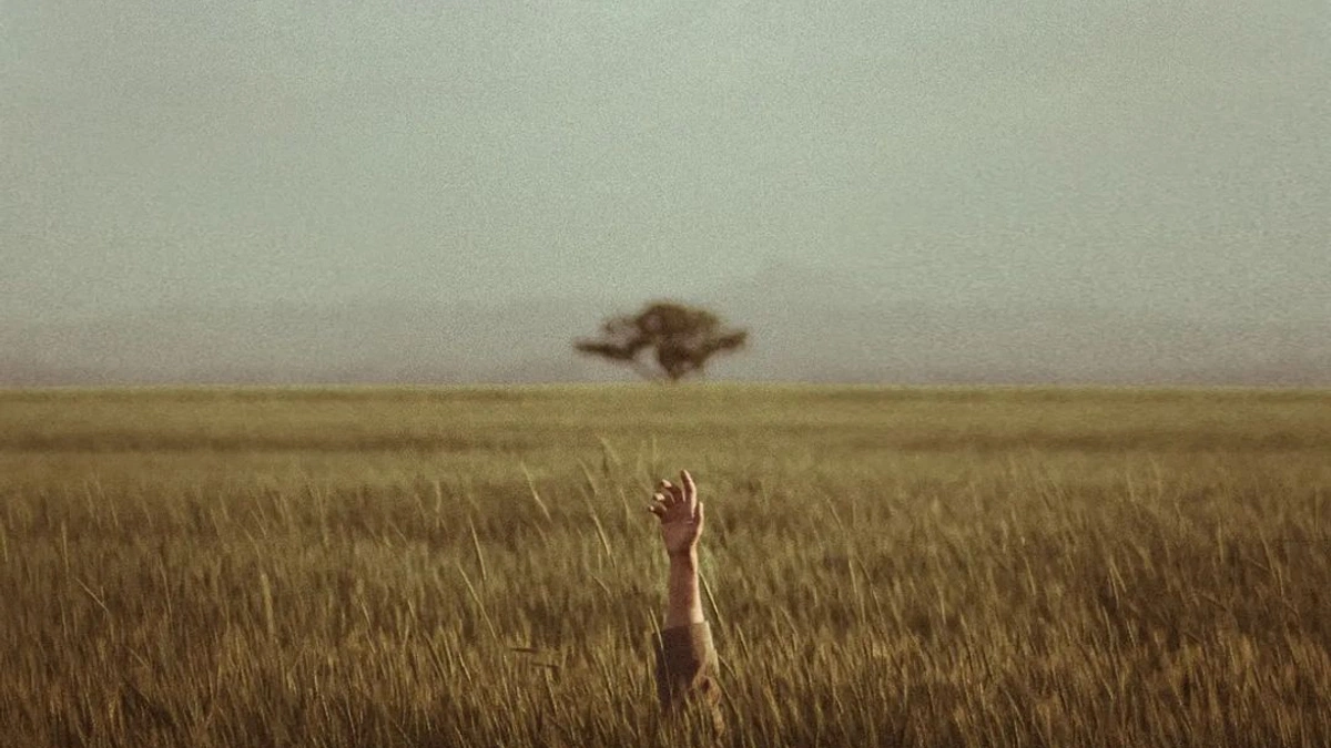 Wildlife photos inspo (@mobean) / Cosmos