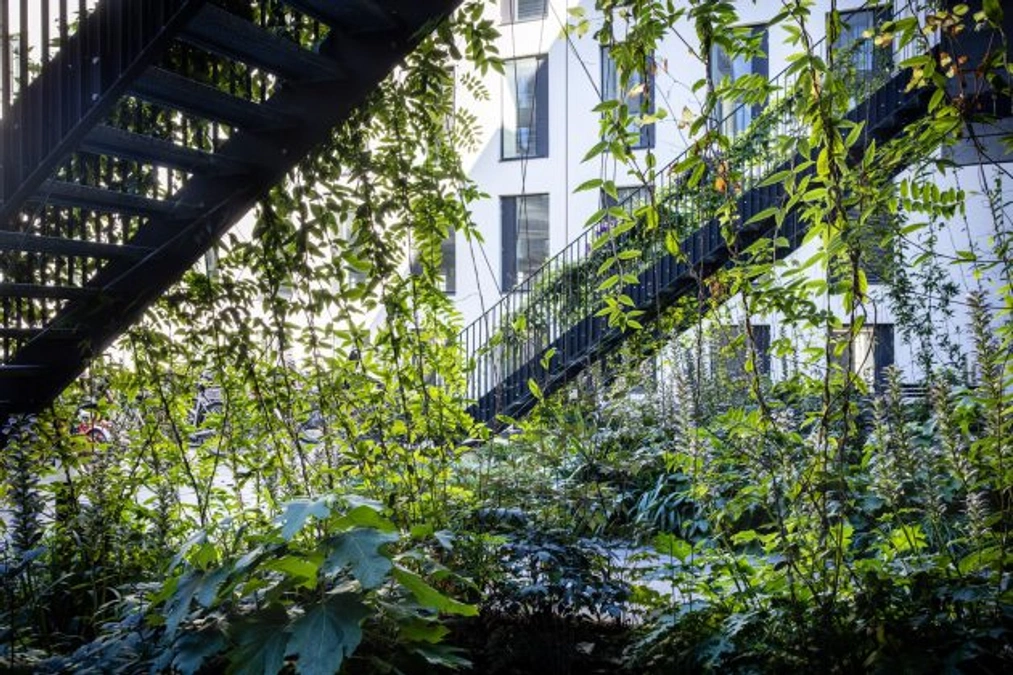 LA Projects (@metromaterial) / Cosmos