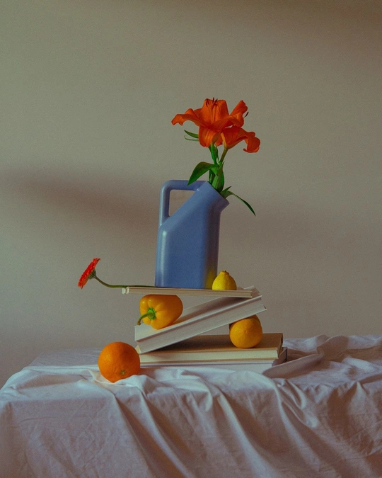 orla K x still life (@elenacremona) / Cosmos