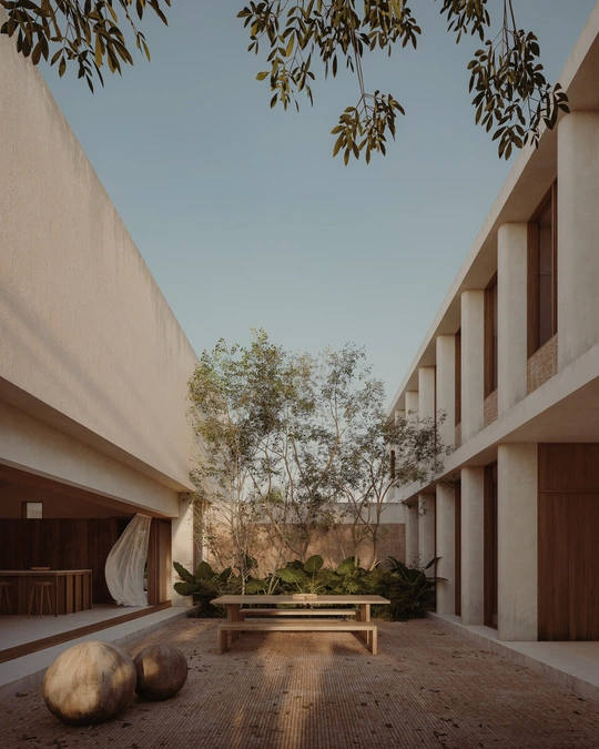 exterior (@heytomek) / Cosmos