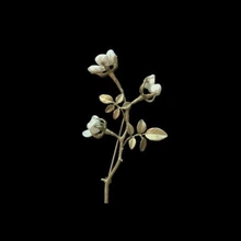 Freya Clark (@freyaxlvr) / Cosmos