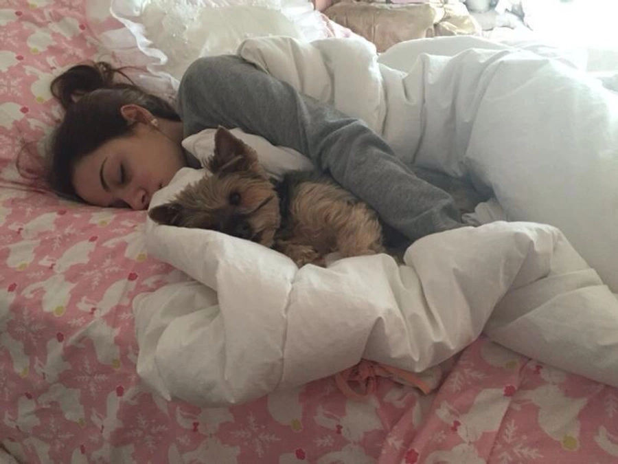 Sleepy (@sophichka) / Cosmos