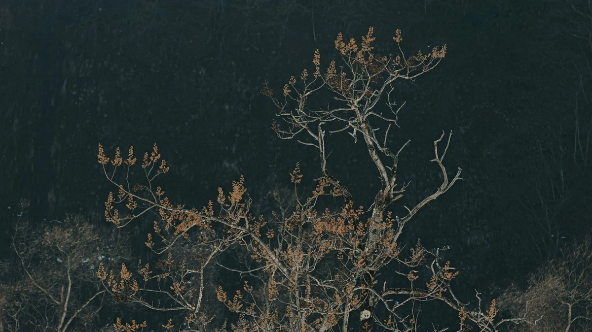 nice (@sneakymouse) / Cosmos