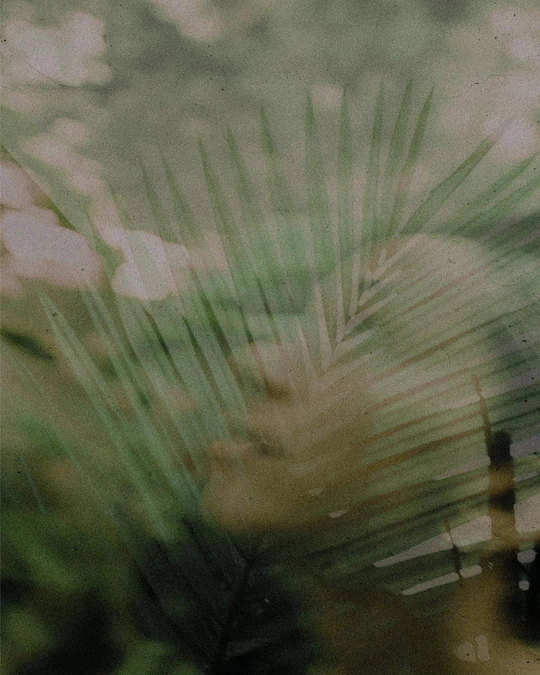 Photo shoot (@wingg) / Cosmos