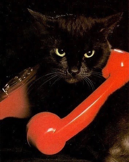 brother jupiter (@kiki) / Cosmos