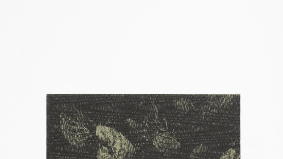 Perfume Packaging (@georgekettle) / Cosmos