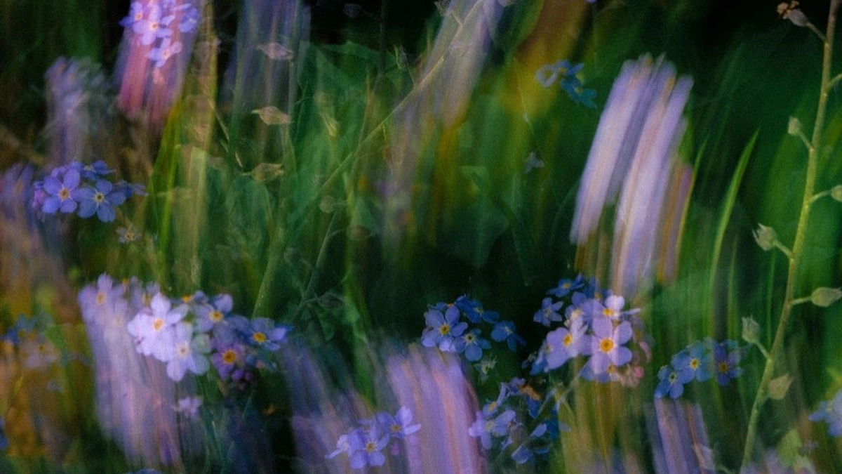 symphonia IX (@oolongtea) / Cosmos