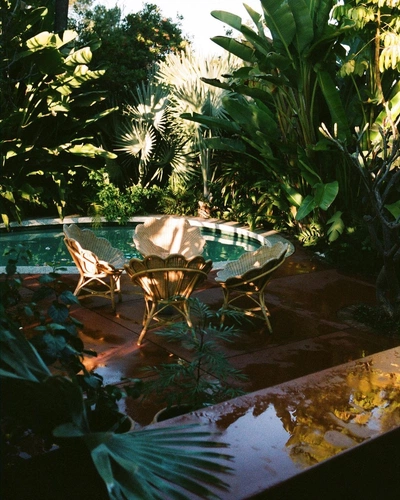 Golden Tropicore (@shayester1) / Cosmos