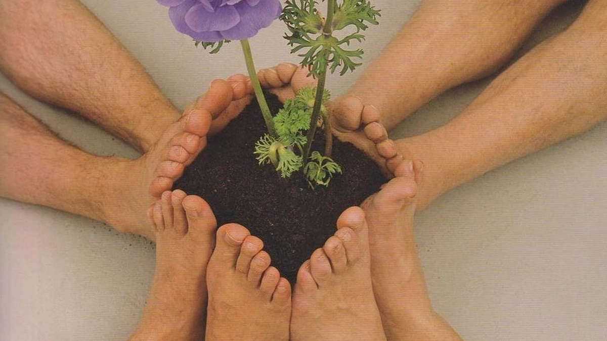 Historia -Fotografia (@othaniel) / Cosmos