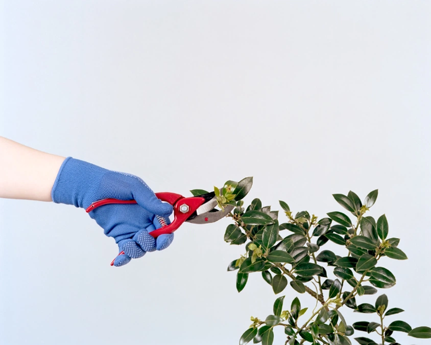 General inspiration (@alexmil) / Cosmos