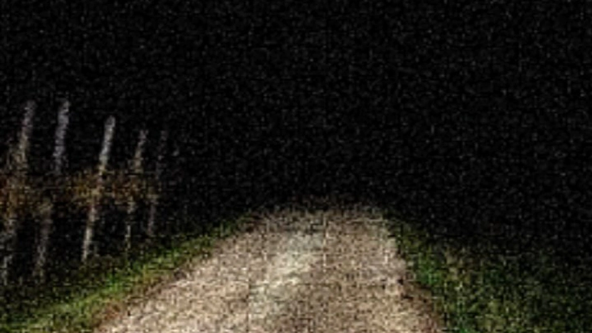 Liminal Dead end (@sheepparsley) / Cosmos