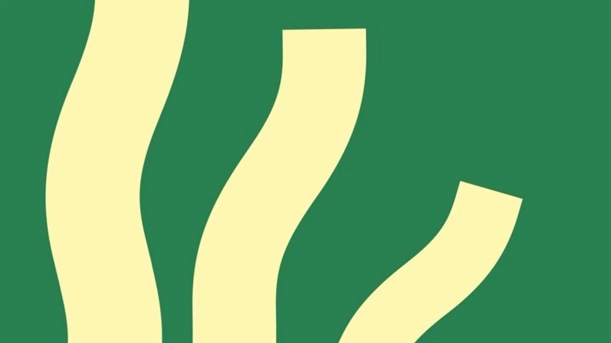 Kitob uchun logo (@winston27) / Cosmos