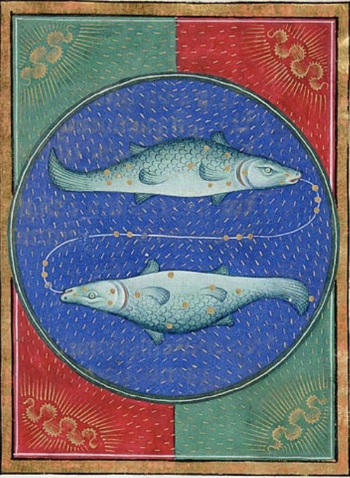 medieval fish (@3gglord) / Cosmos