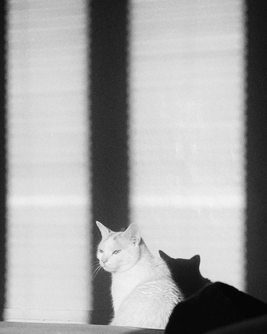 Unsaturated (@shreyapujari) / Cosmos