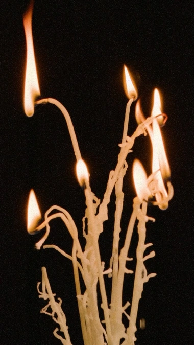 HBD IVY BODY (@pereninan) / Cosmos